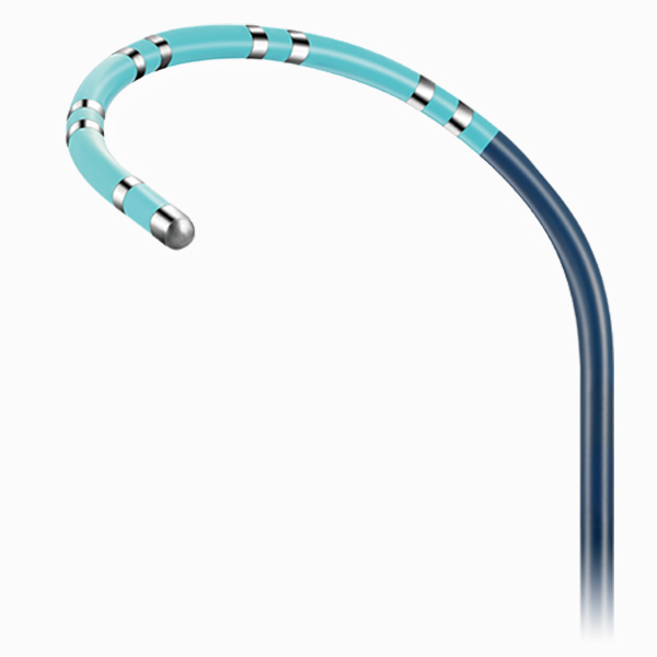 SinusFlex™ Steerable Decapolar Mapping Catheter | Negin Holding